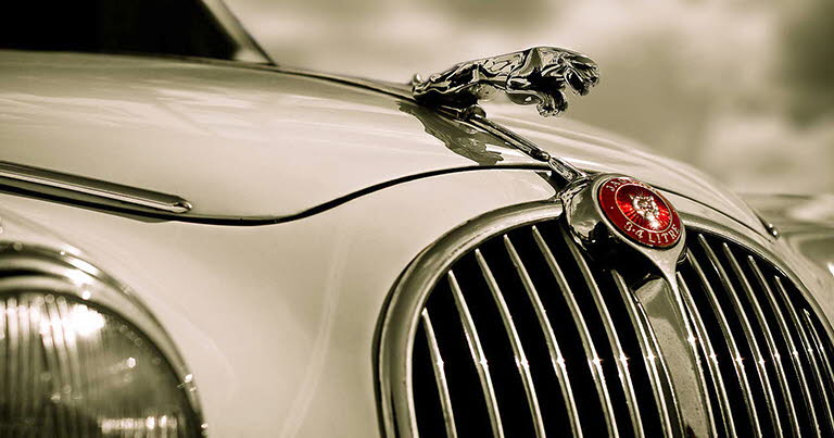 Le Luxe & Le Règne Animal : Le Jaguar & Le Leaper | COTE Magazine Genève